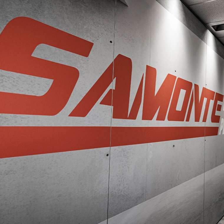 Home – Samonte Fight Performance